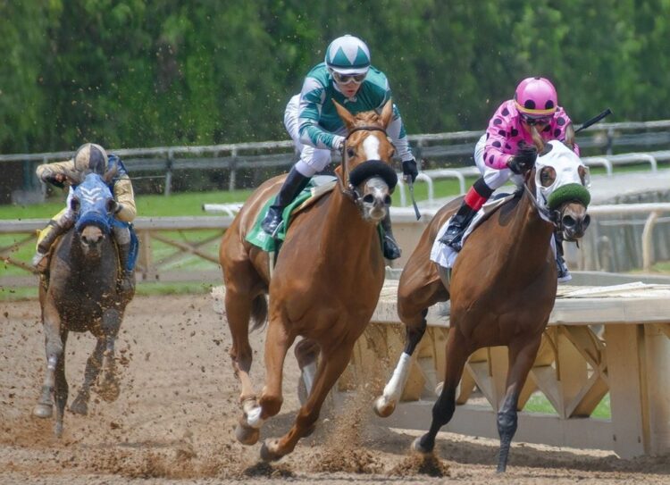 Horse Racing in India: how it has changed in the course of time? - Bel ...